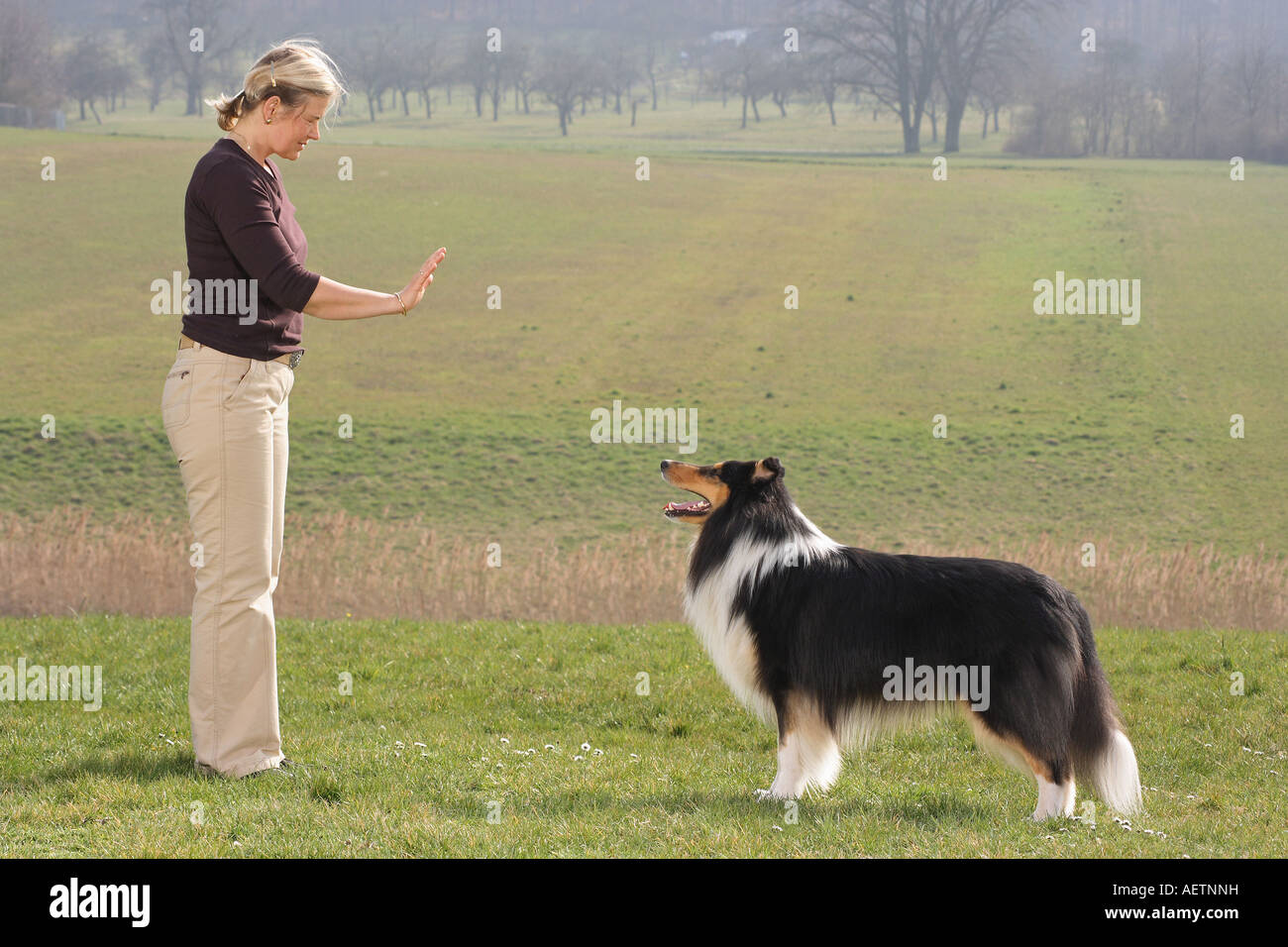 The dog is dancing hi-res stock photography and images - Alamy