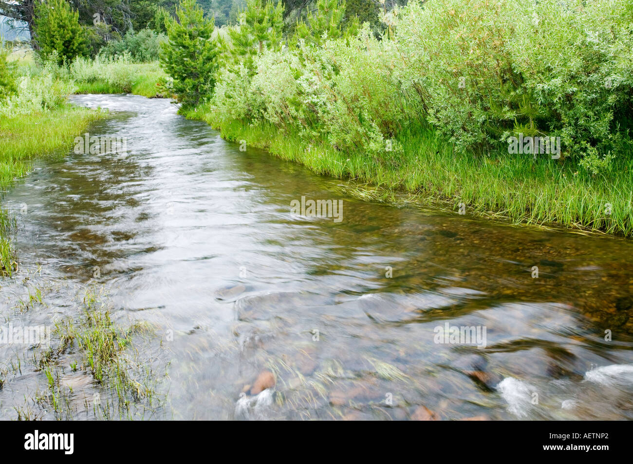 Sagehen creek hi-res stock photography and images - Alamy