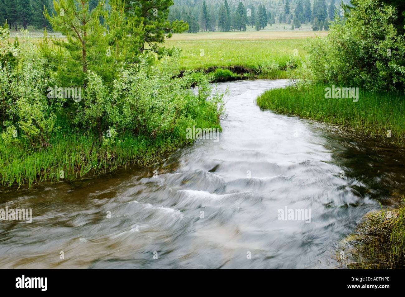 Sagehen creek hi-res stock photography and images - Alamy
