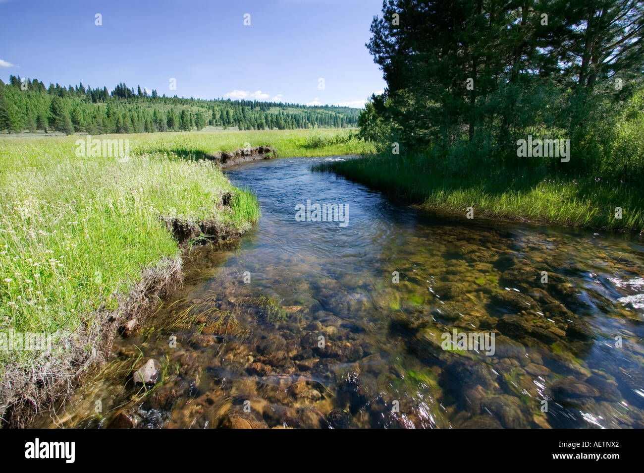 Sagehen creek hi-res stock photography and images - Alamy