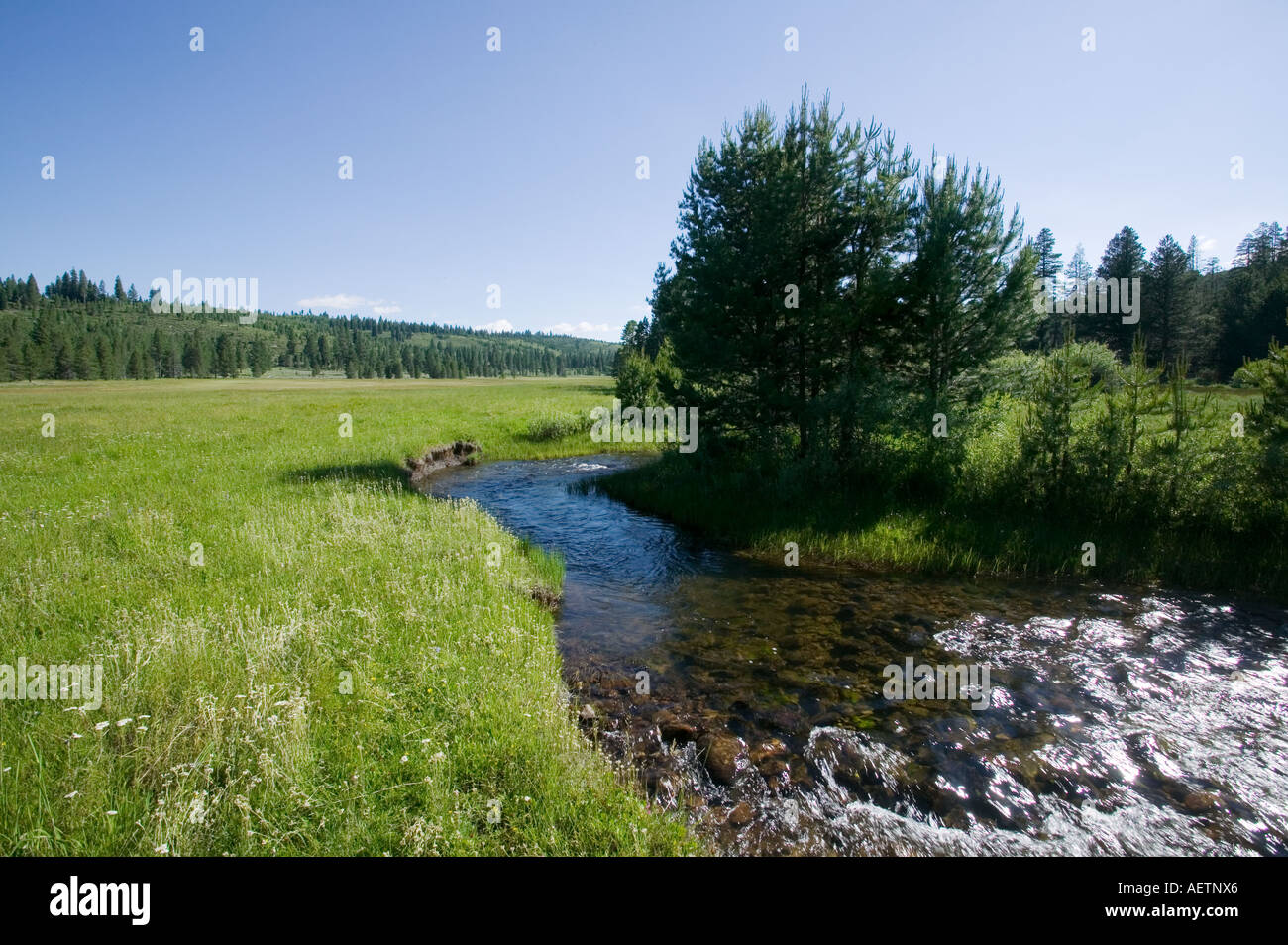 Sagehen creek hi-res stock photography and images - Alamy