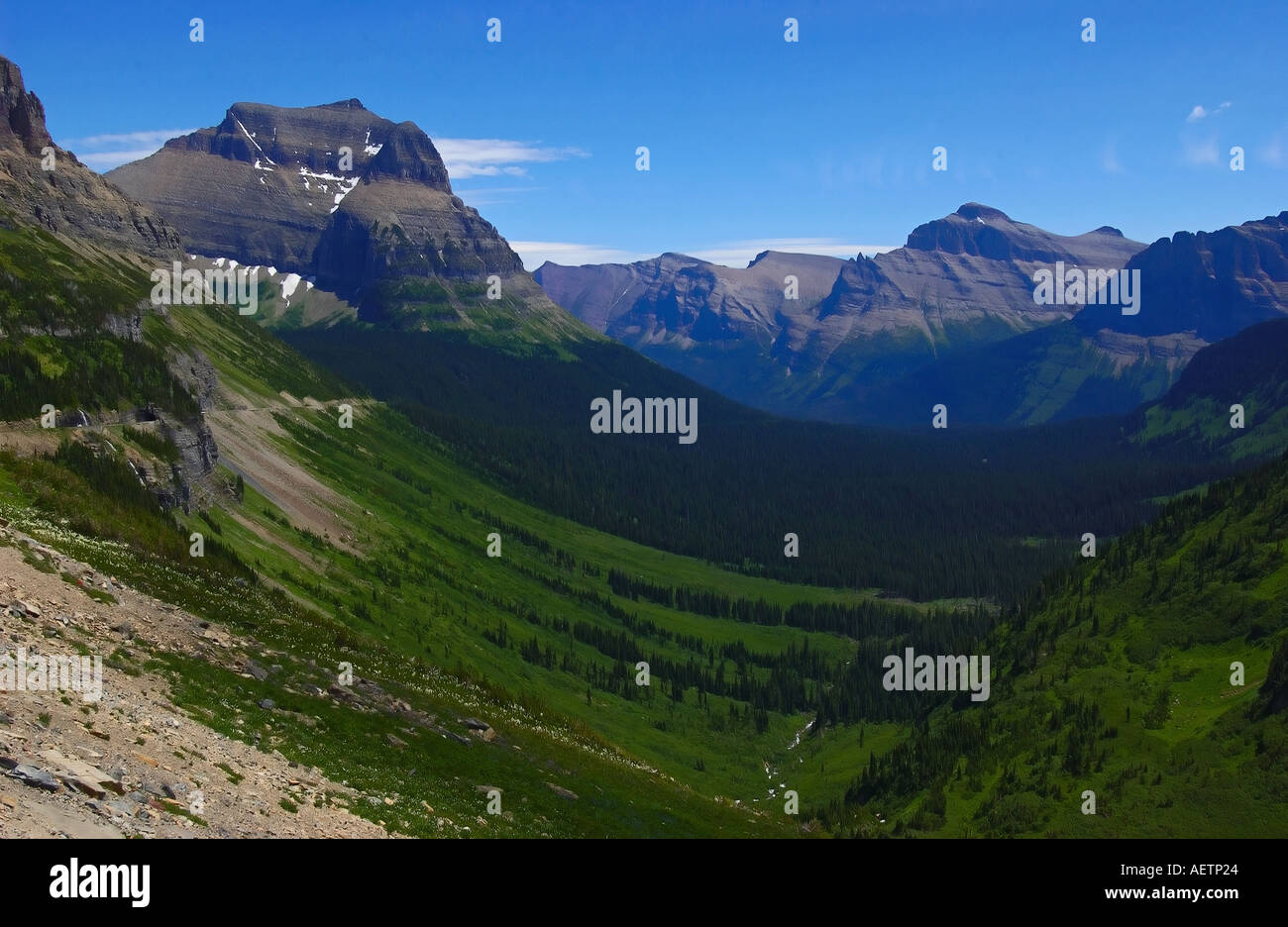 U shaped valley sculpted by glaciers in Glacier National Park Montana ...