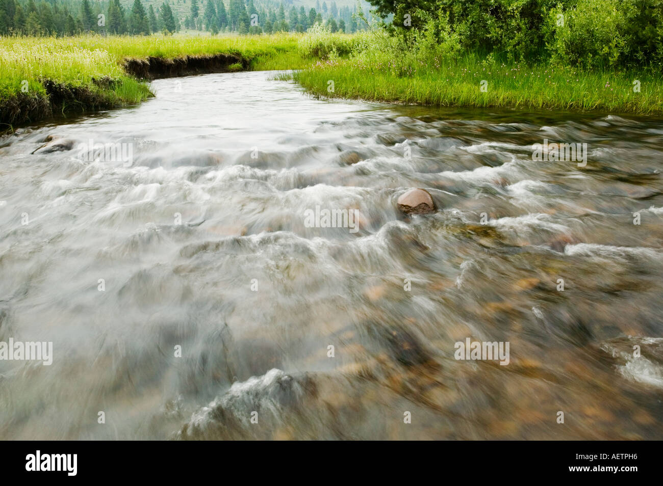 Truckee sagehen creek hi-res stock photography and images - Alamy