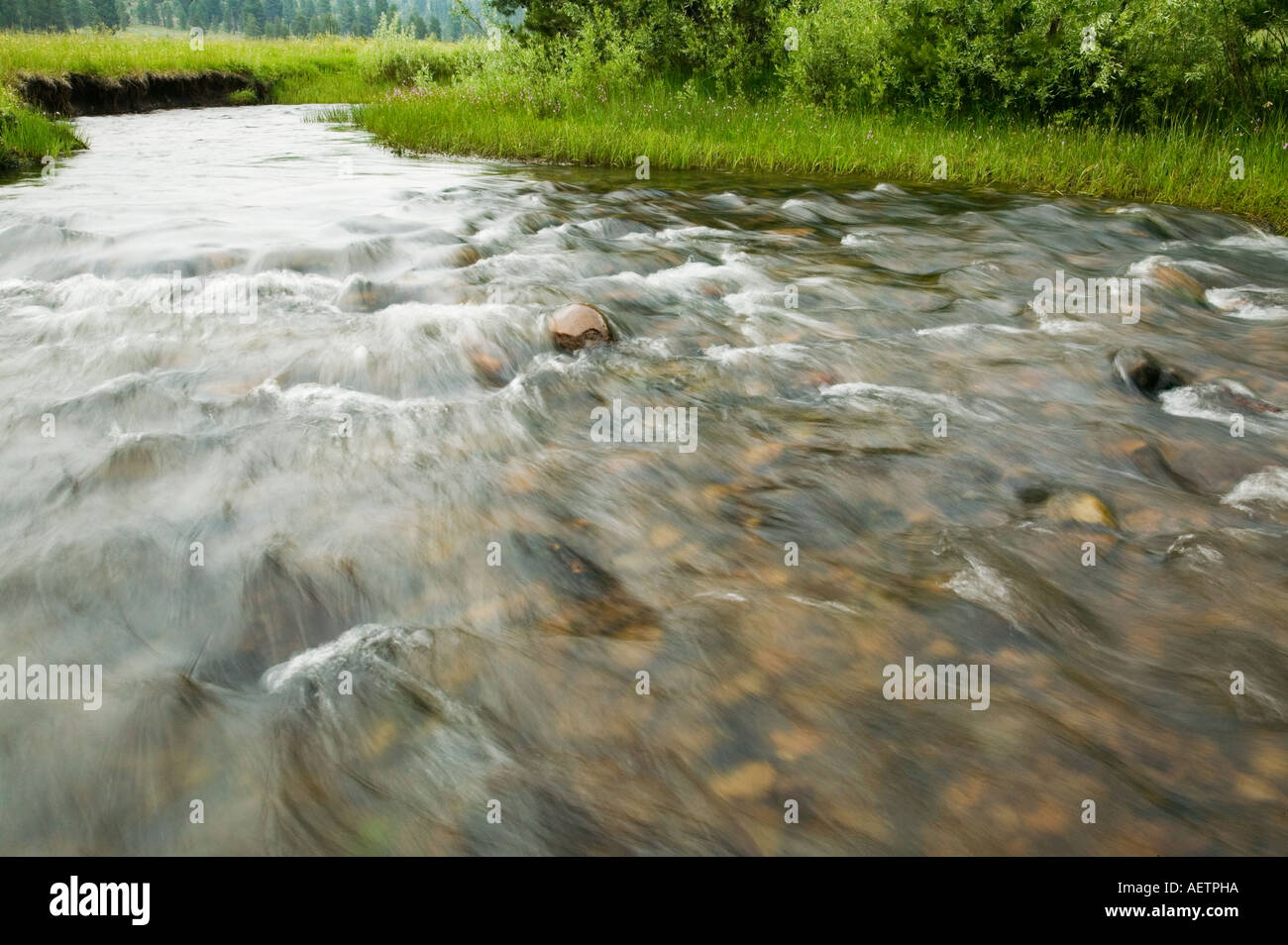 Pristine Sagehen meadow Truckee California Stock Photo - Alamy