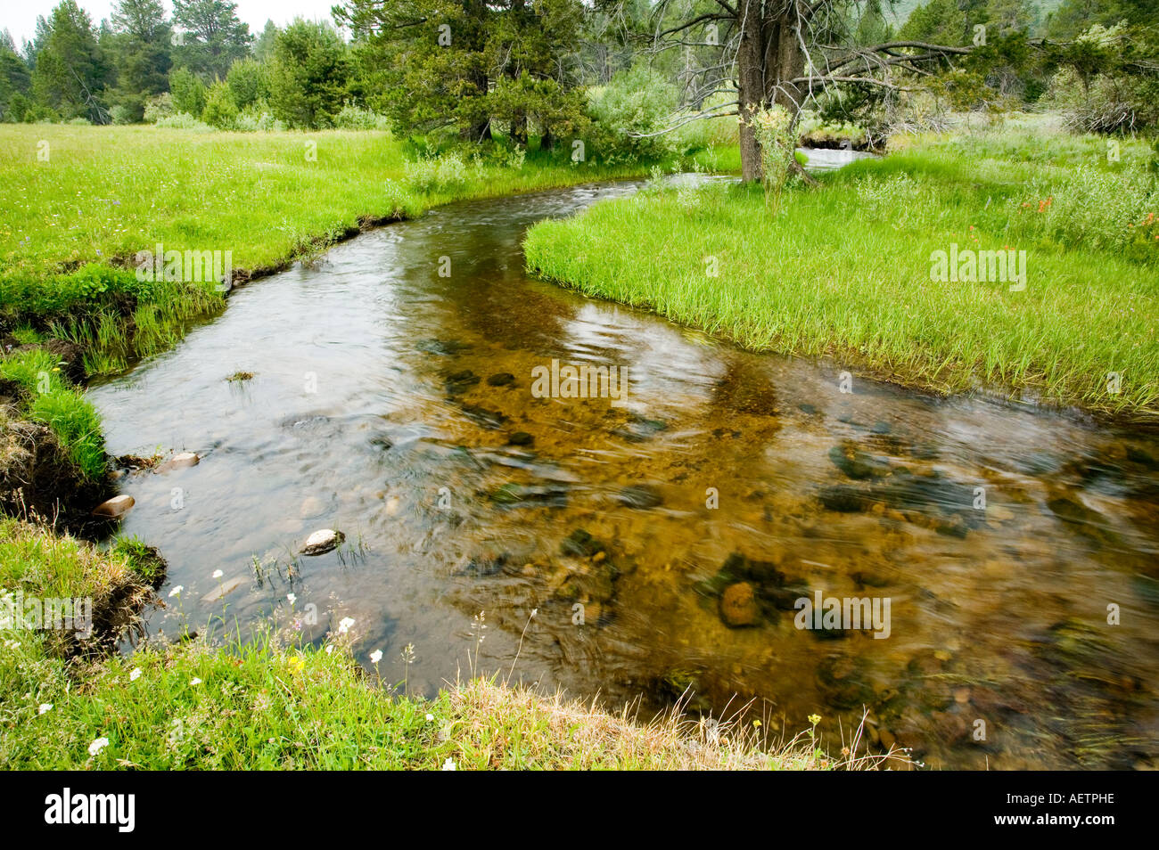 Truckee sagehen creek hi-res stock photography and images - Alamy