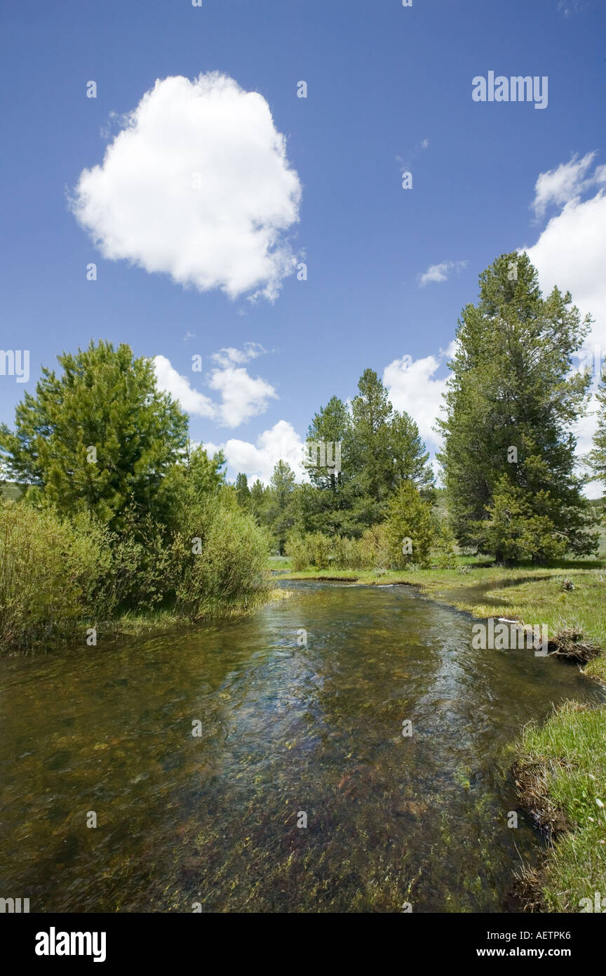 Dmp9320 hi-res stock photography and images - Alamy