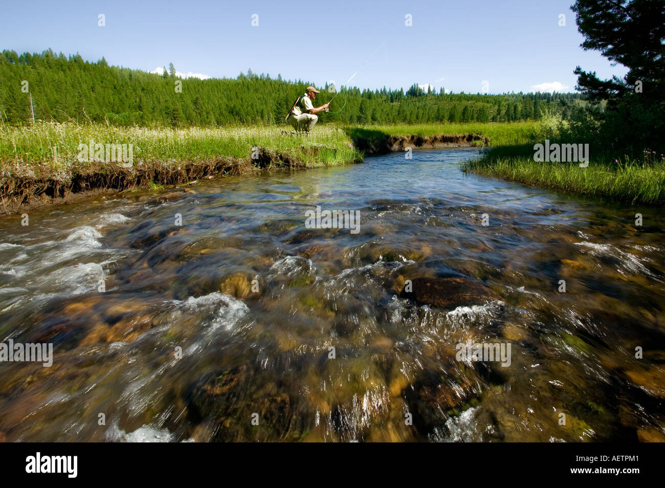 Sagehen creek hi-res stock photography and images - Alamy