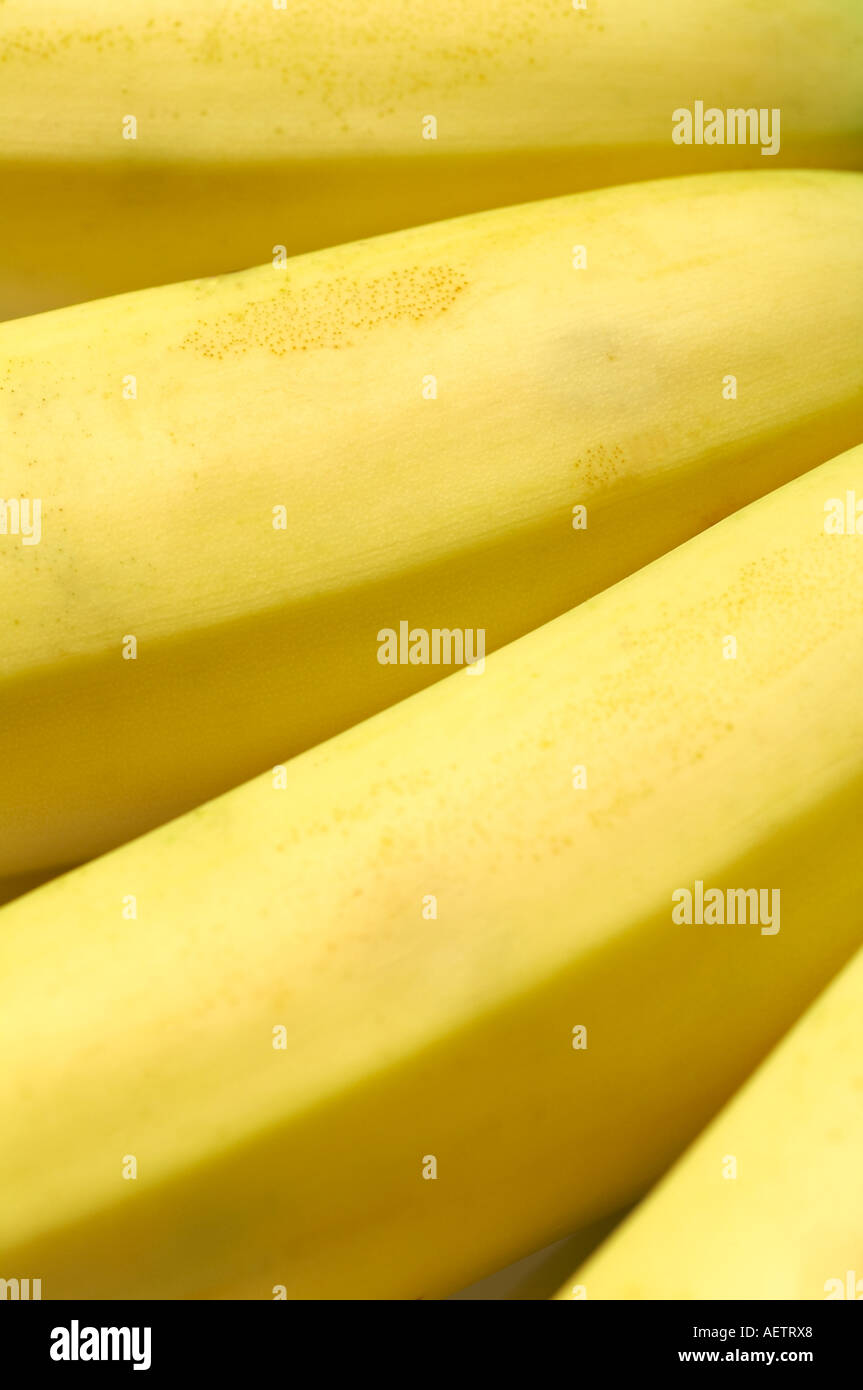 Bunch of baby bananas Stock Photo - Alamy