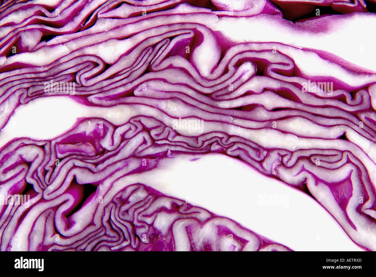 Fvm01055 hi-res stock photography and images - Alamy