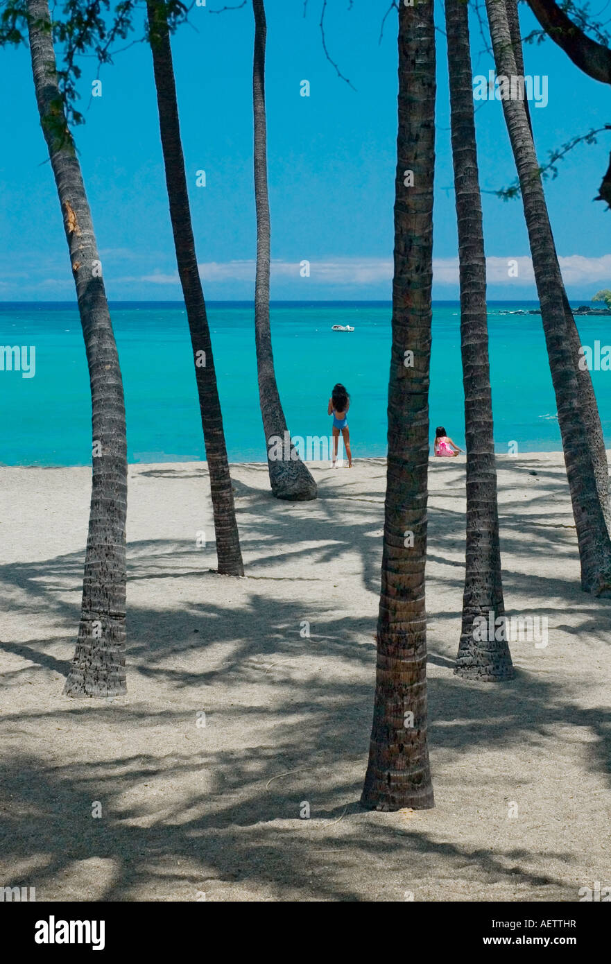 tropical beach scene Hawaii Islands Stock Photo - Alamy
