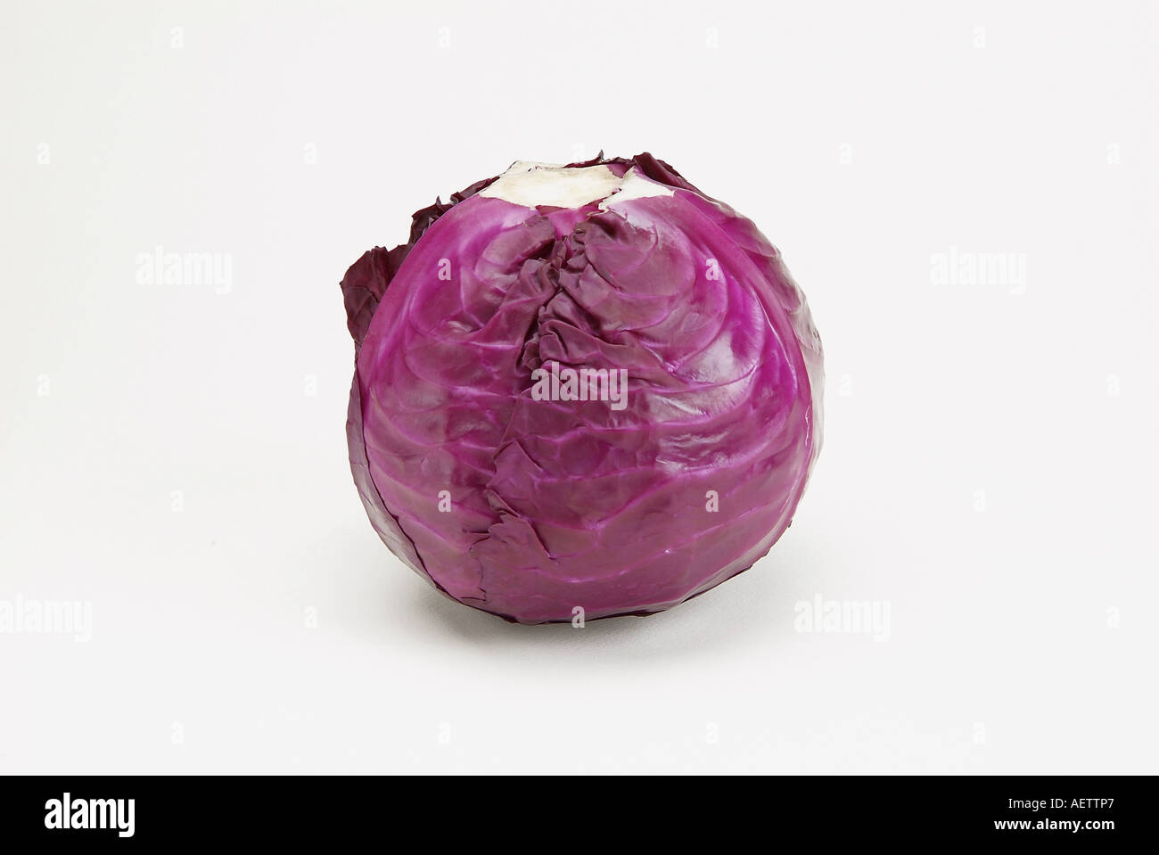 Cabbage leaf eating Cut Out Stock Images & Pictures - Alamy