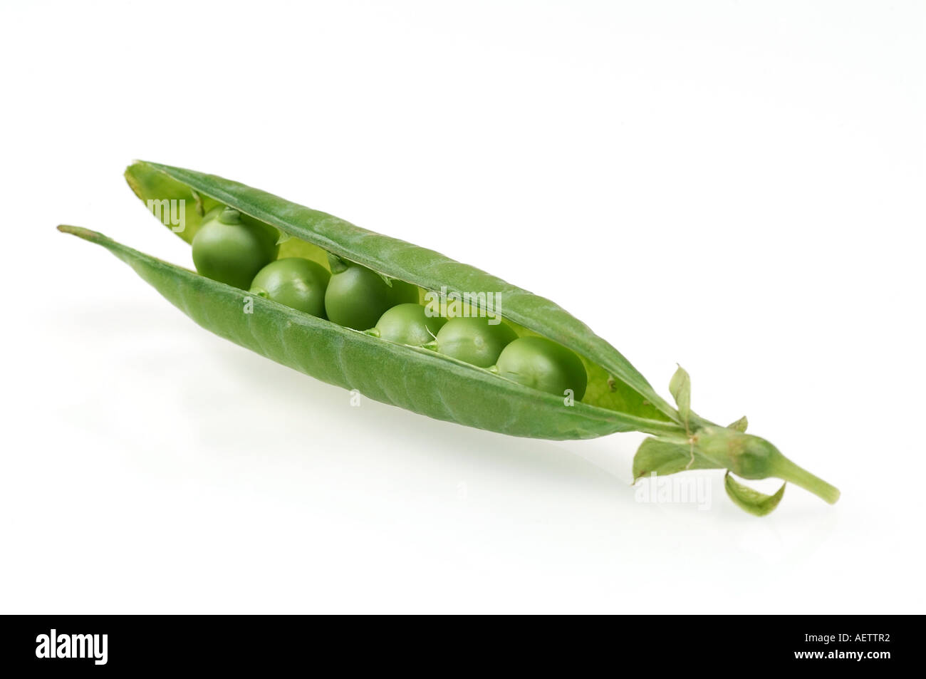 Fvo01017 hi-res stock photography and images - Alamy