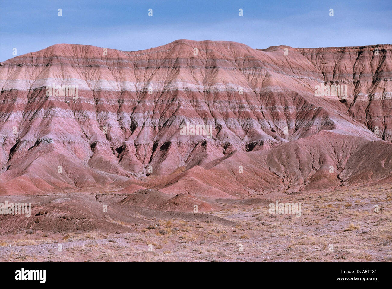 Erosion gullies desert hi-res stock photography and images - Alamy