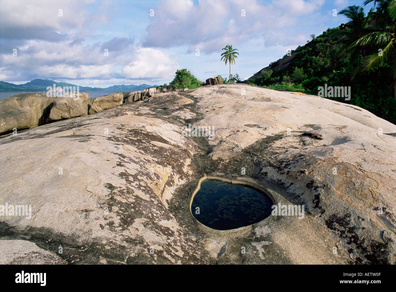 Small pool on rock Ile Therese Therese island northwest coast island of ...