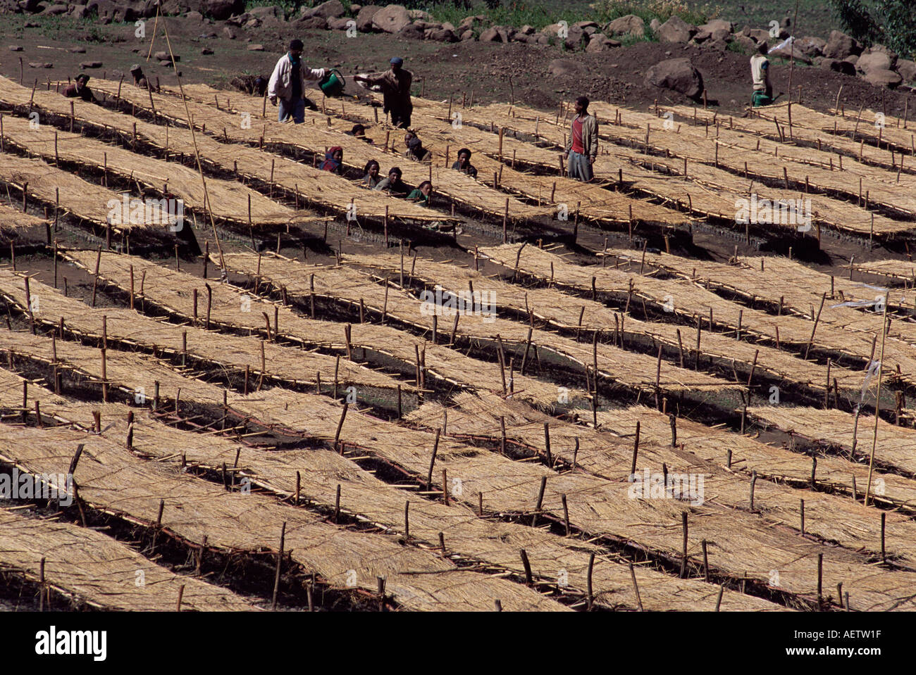 Lasta Valley Wollo region Ethiopia Africa Stock Photo - Alamy