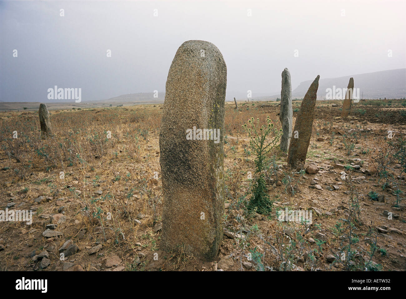 Stelae in ancient cemetery Axoum Axum Aksum Tigre region Ethiopia ...