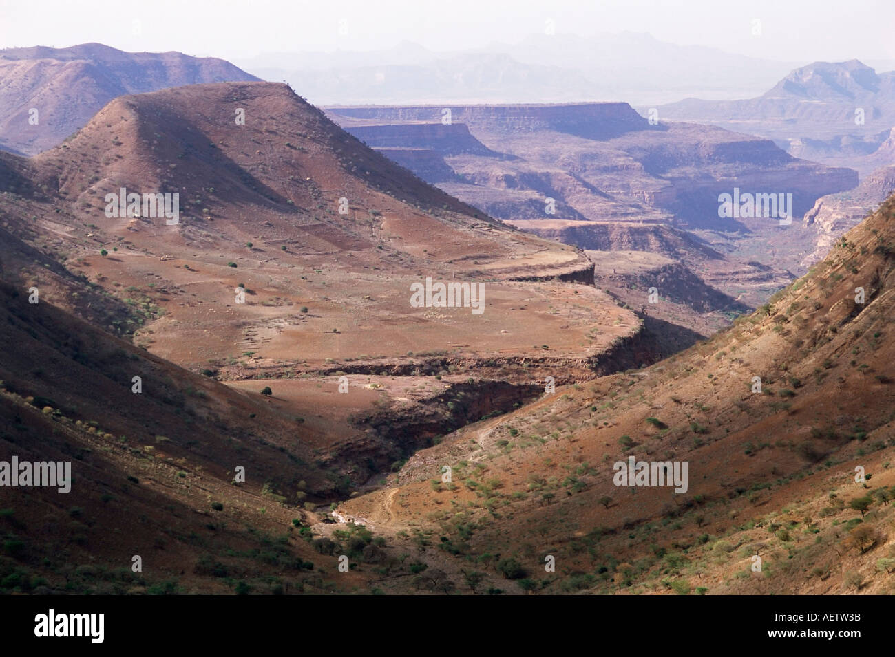 Ethiopia wollo region valley hi-res stock photography and images - Alamy