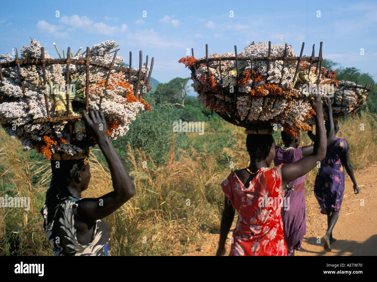 Gambella hi-res stock photography and images - Alamy