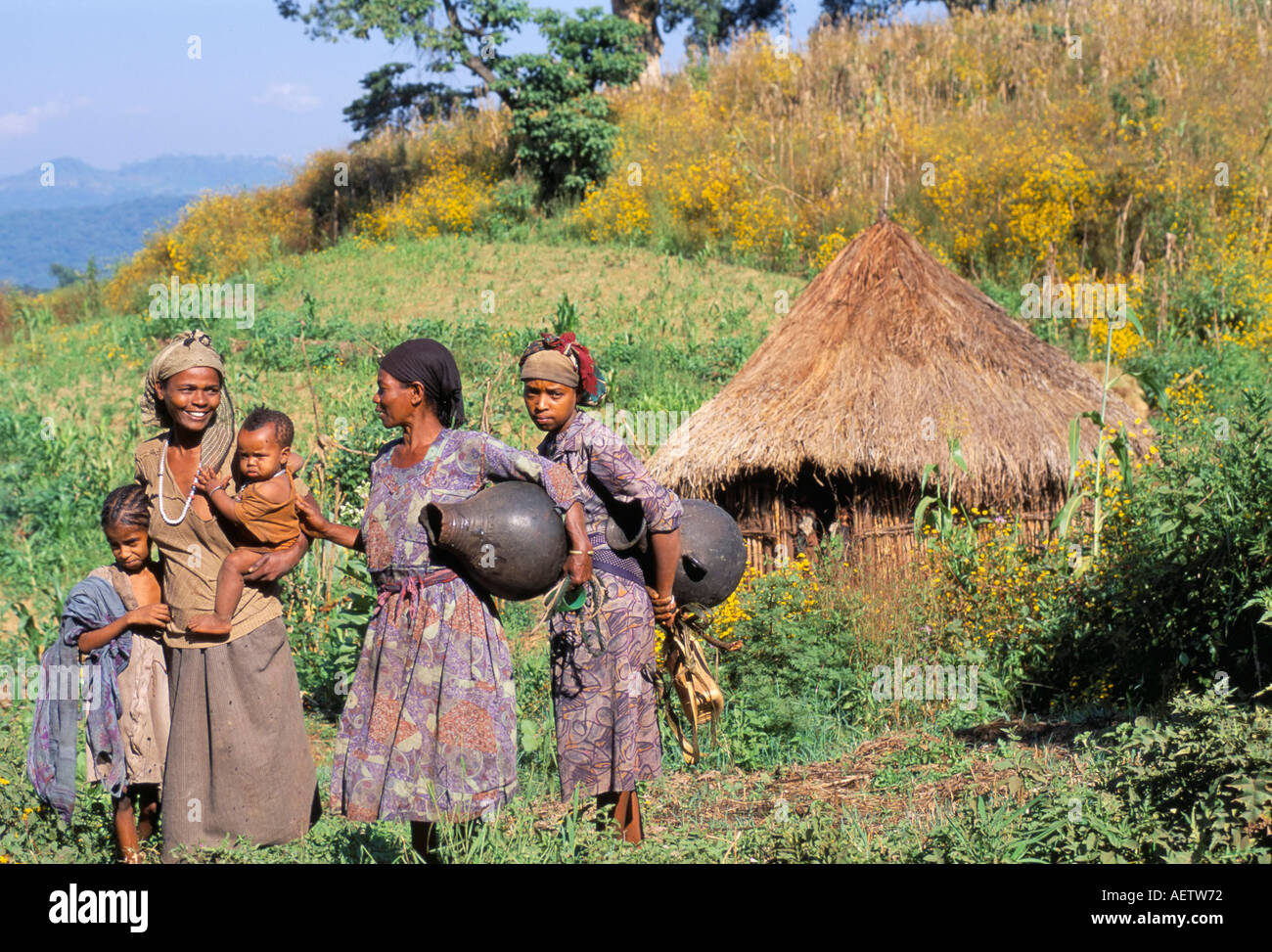 Metu hi-res stock photography and images - Alamy