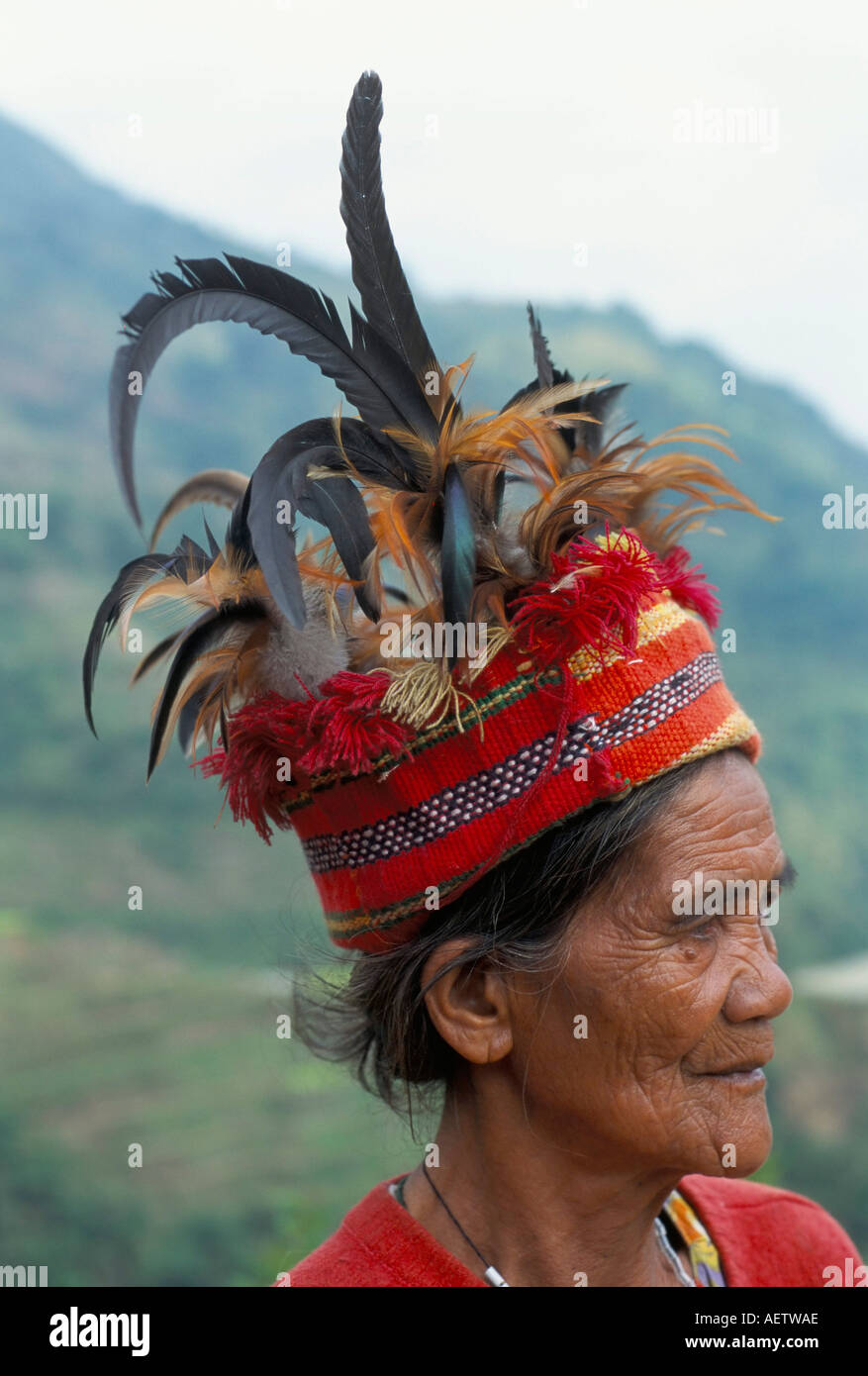 Ifugao man in headdress decorated with feathers northern area island of ...