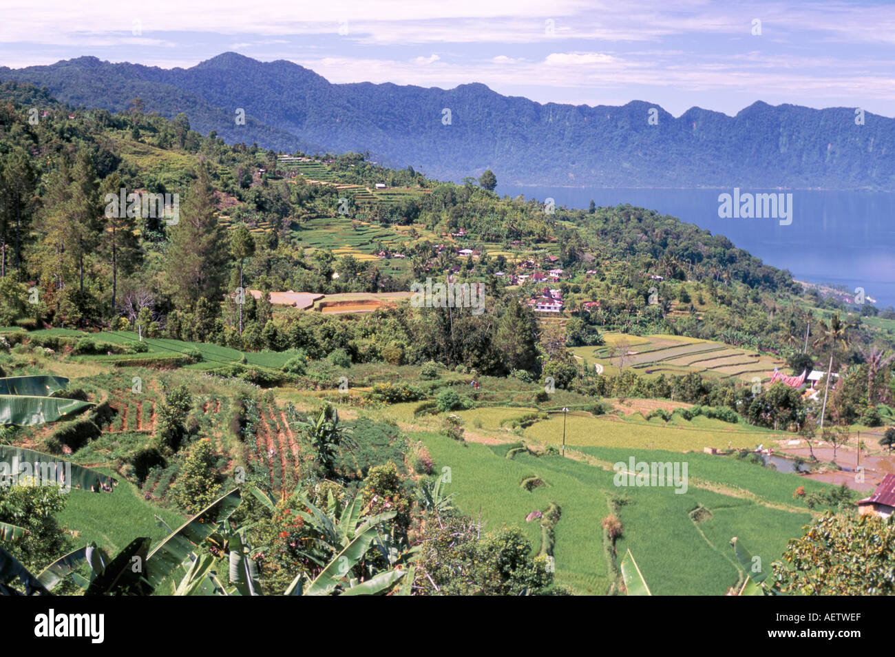 Eastern sumatra hi-res stock photography and images - Alamy