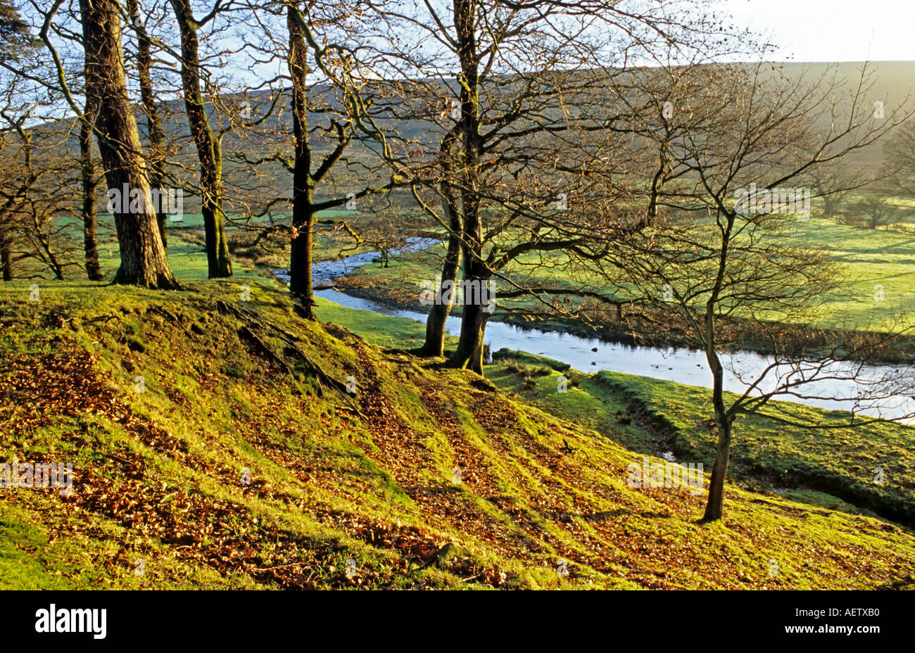 Wyre river hi-res stock photography and images - Alamy