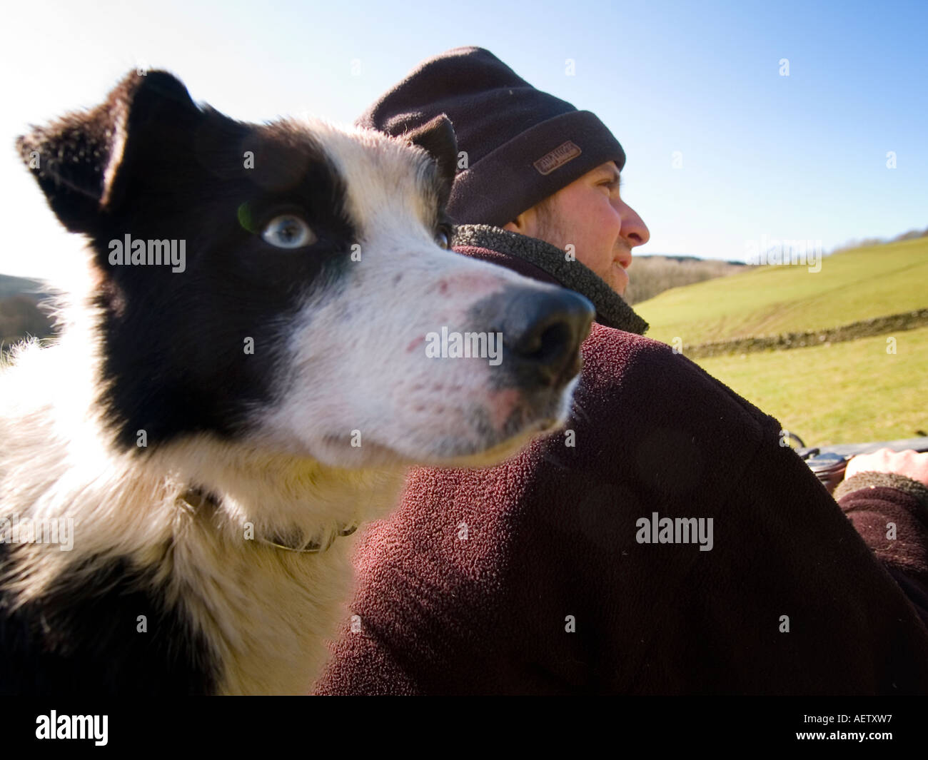 Shepherd sheepdog hi-res stock photography and images - Alamy