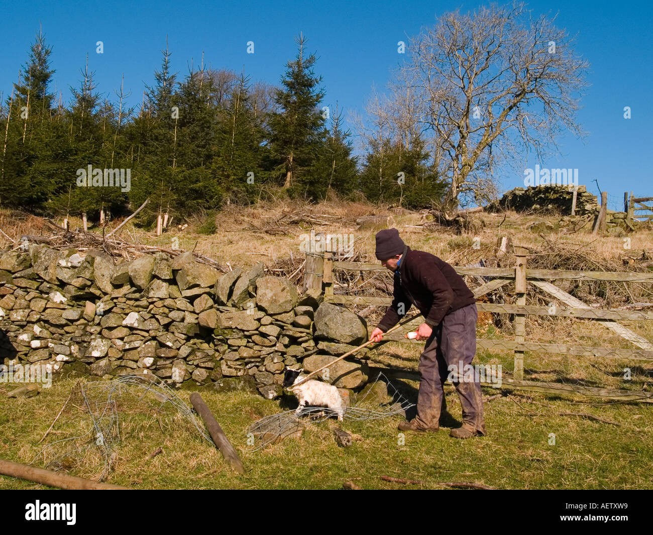 Crook mark hi-res stock photography and images - Alamy