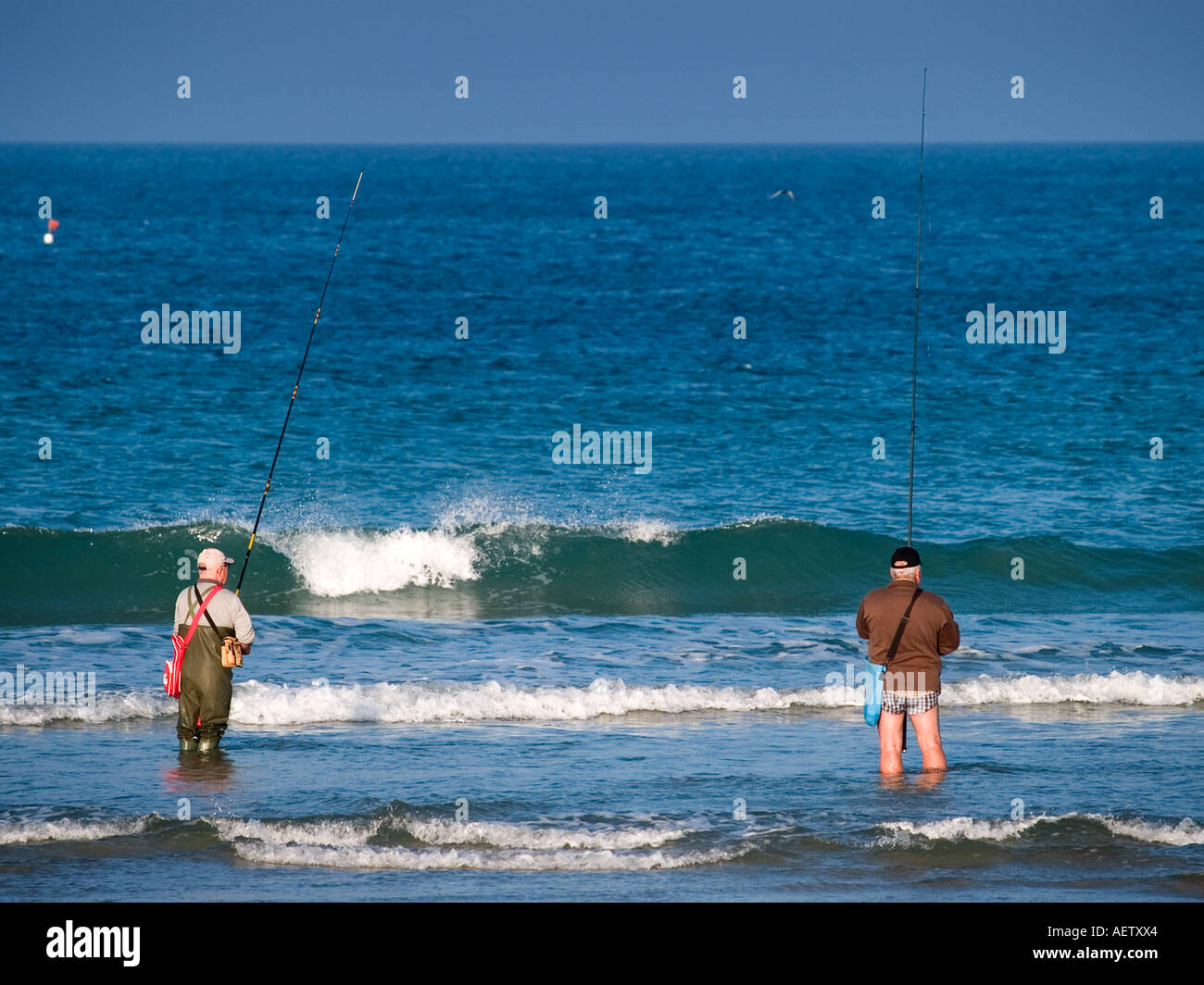 Angler fish sea beach hi-res stock photography and images - Alamy