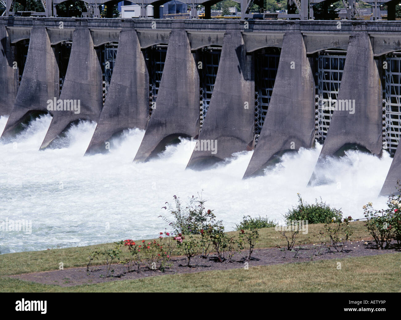 A view of the Bonneville Hydroelectric Dam outlet on the Columbia River ...