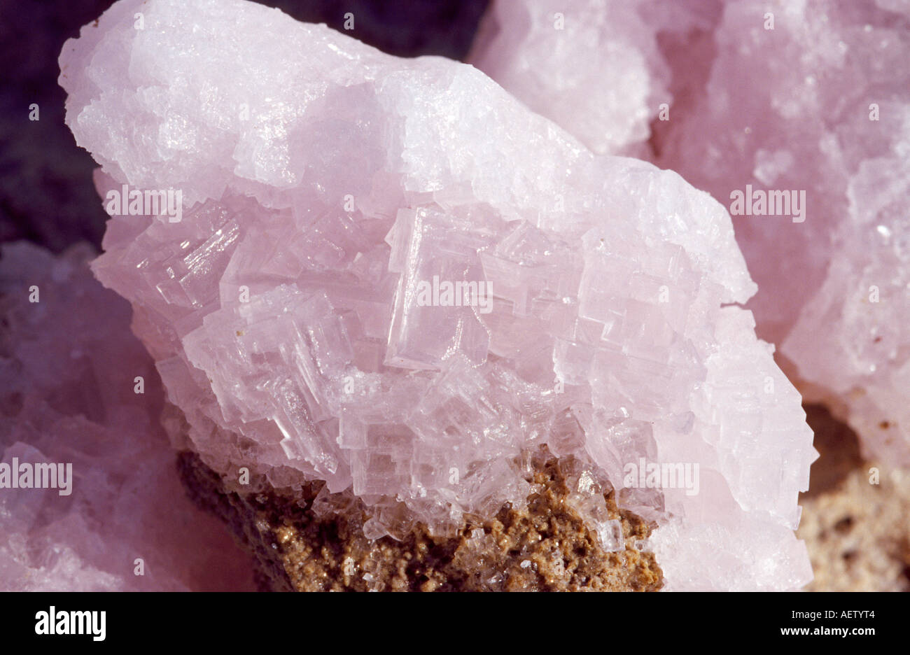 Pink salt crystals Stock Photo - Alamy