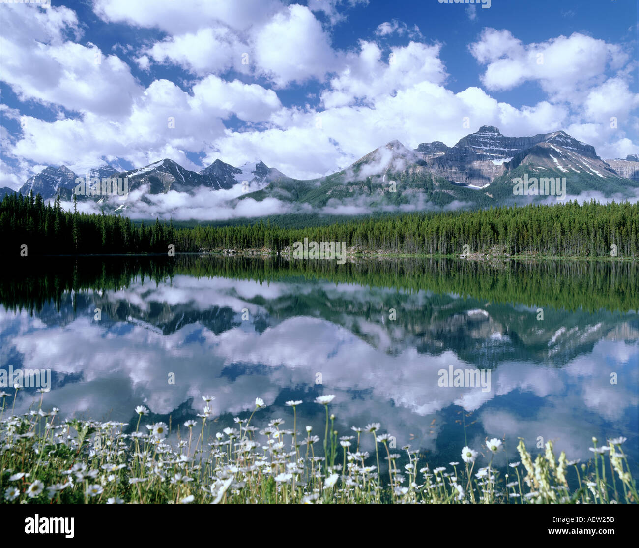 Herbert Lake Banff National Park World Heritage ALBERTA CANADA Stock ...