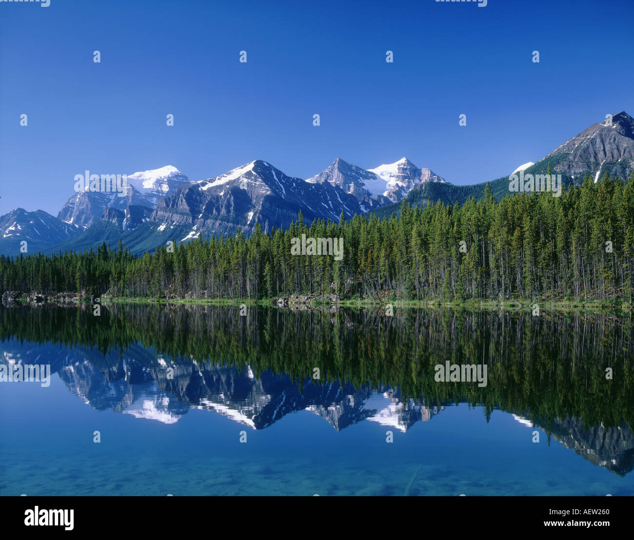 Herbert Lake Banff National Park World Heritage ALBERTA CANADA Stock ...