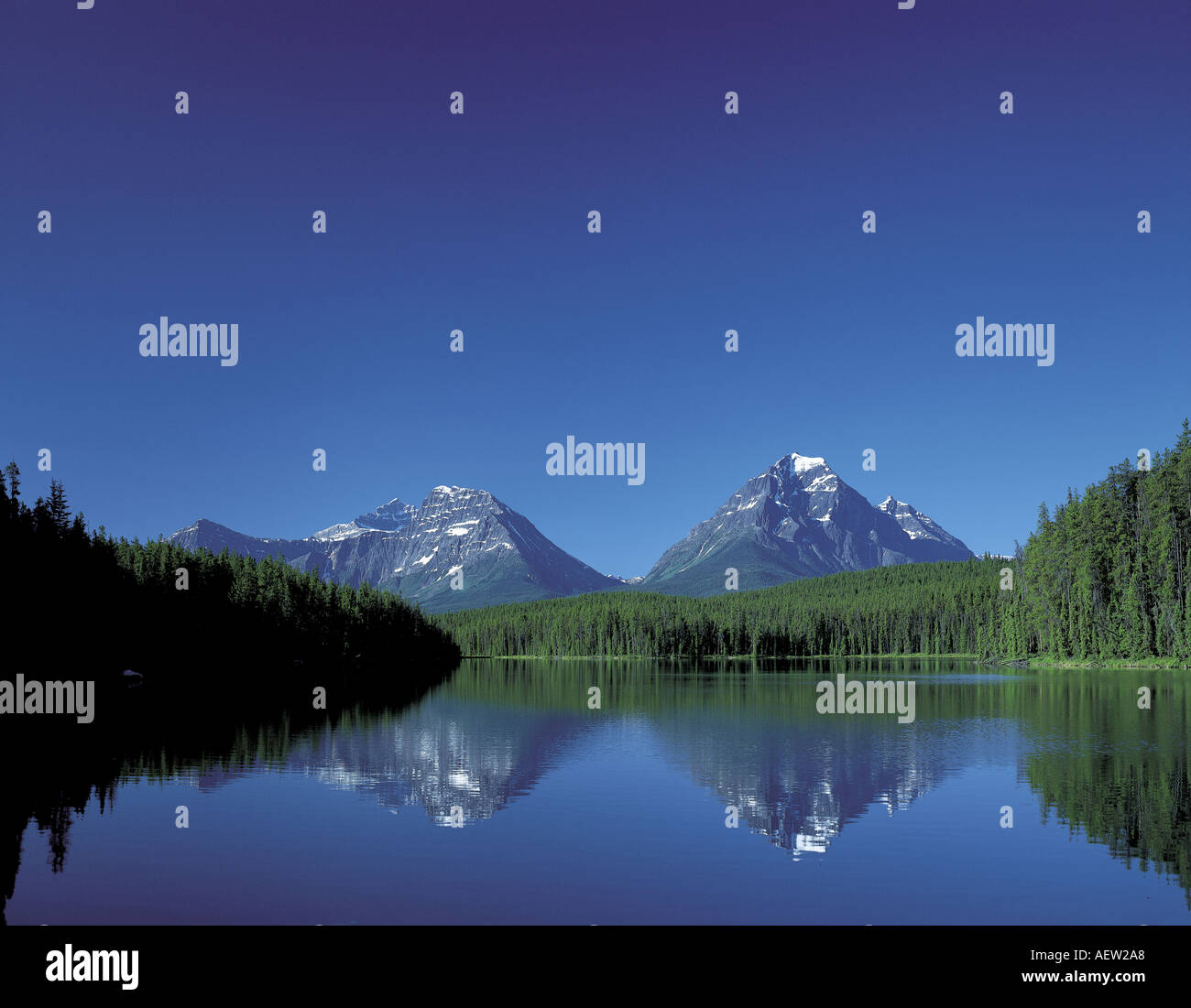 Leach Lake Jasper National Park World Heritage CANADA Stock Photo - Alamy