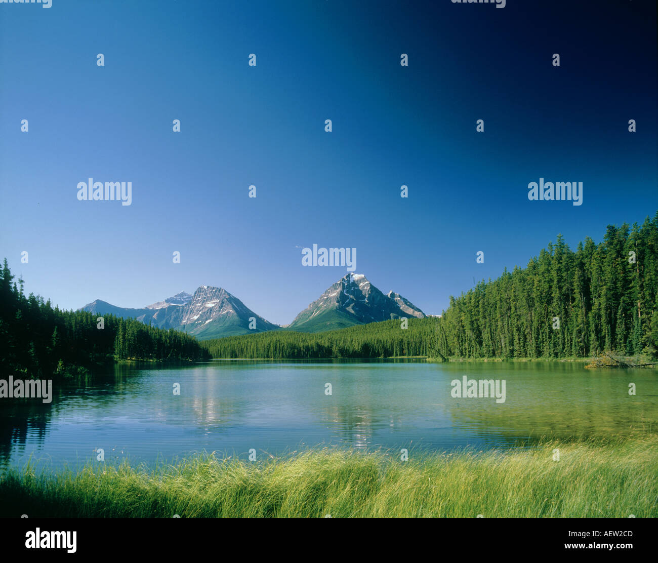 Leech Lake Jasper National Park World Heritage CANADA Stock Photo - Alamy