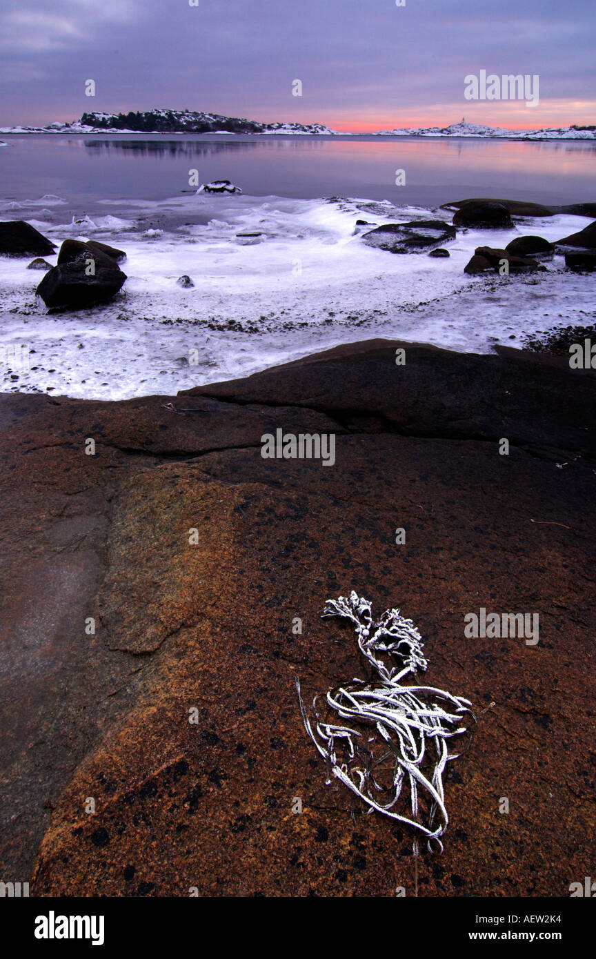 Coastal landscape at Amundön. Gothenburg, Sweden Stock Photo - Alamy