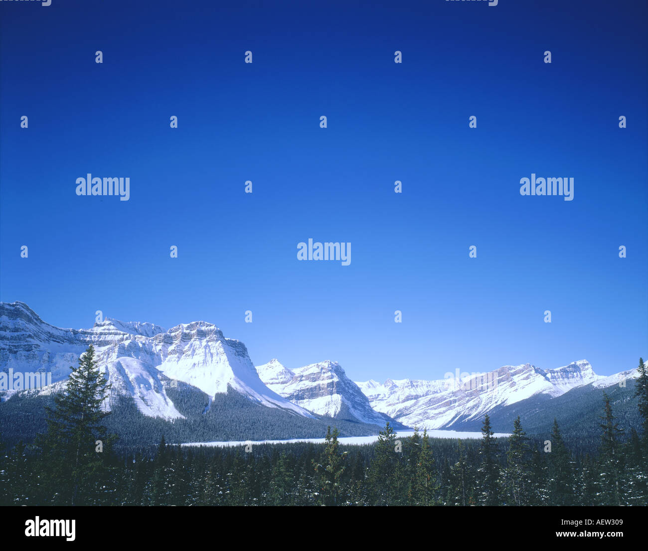 Hector Lake Banff National Park World Heritage ALBERTA CANADA Stock ...