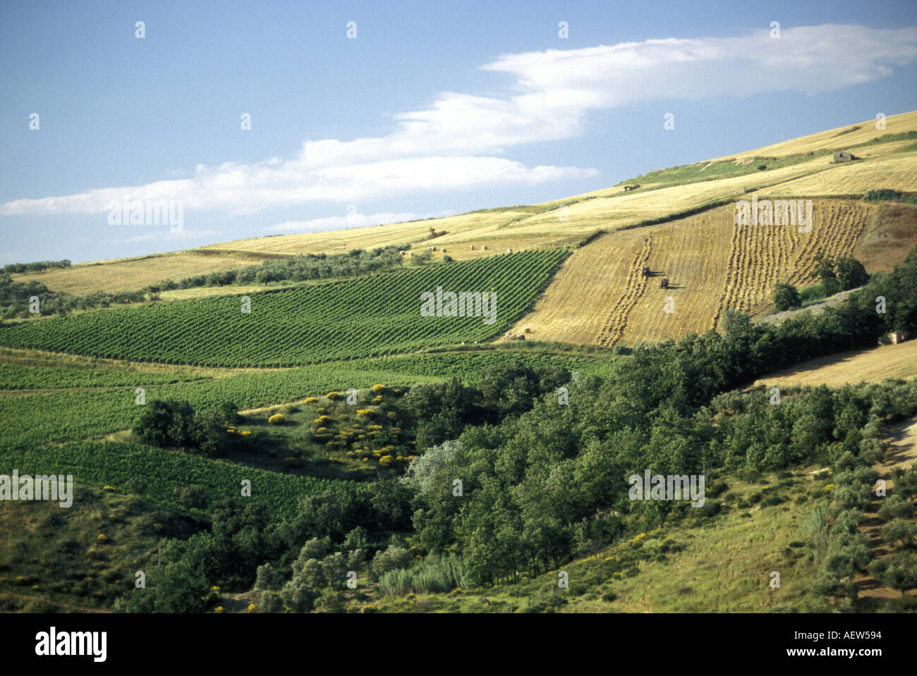 Barile basilicata hi-res stock photography and images - Alamy