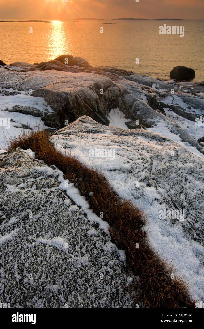 Coastal landscape at Särö Västerskog, Halland, Sweden Stock Photo - Alamy