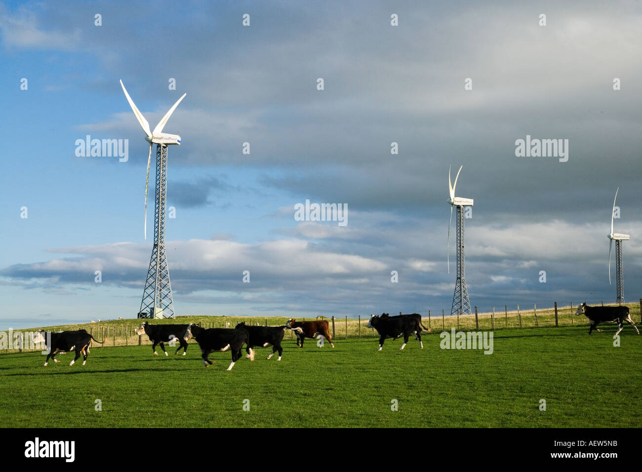 Tararua wind farm hi-res stock photography and images - Alamy