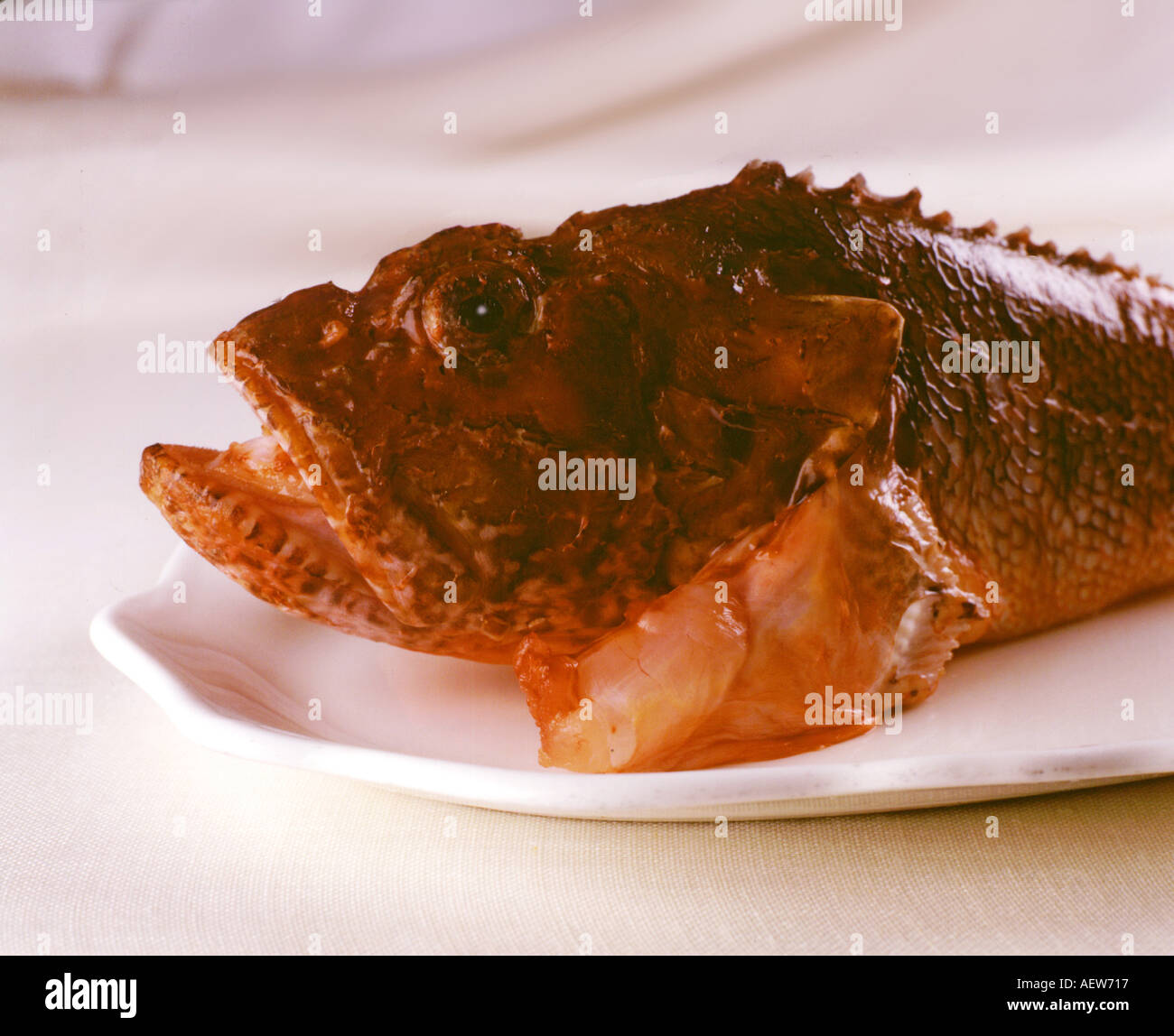 Scorpion fish italy hi-res stock photography and images - Alamy