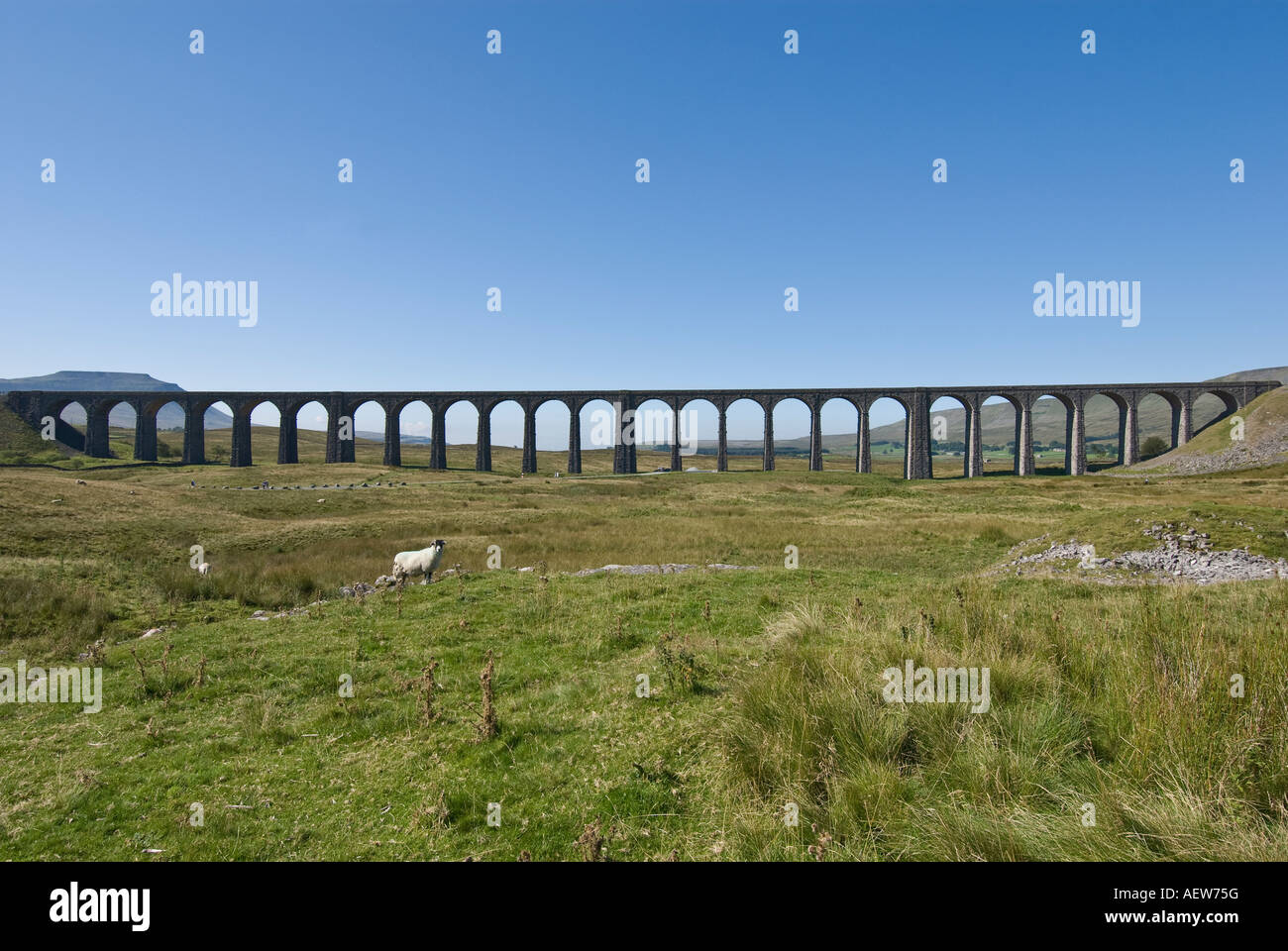 View of the complete Ribblehead Viaduct on the Settle to Carlisle ...
