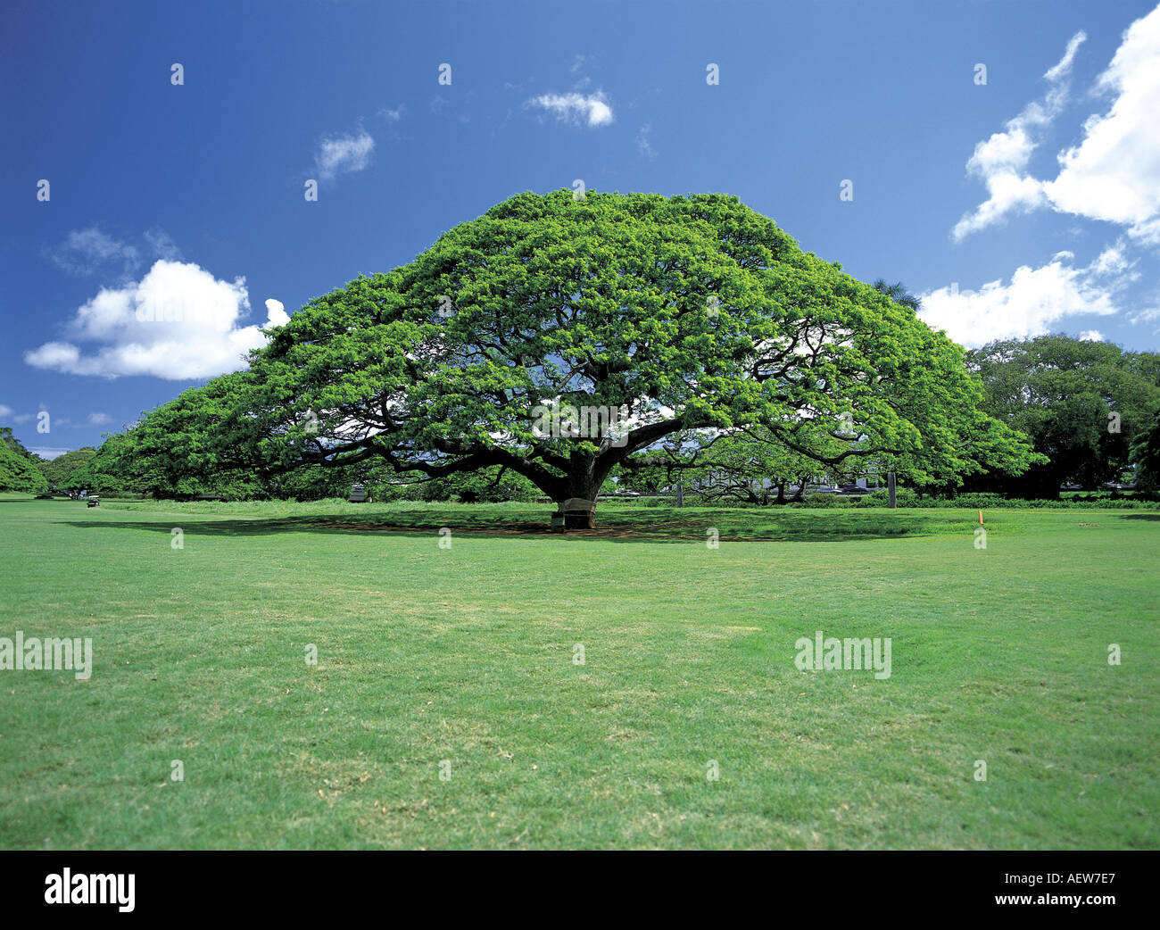 Moanalua hi-res stock photography and images - Alamy
