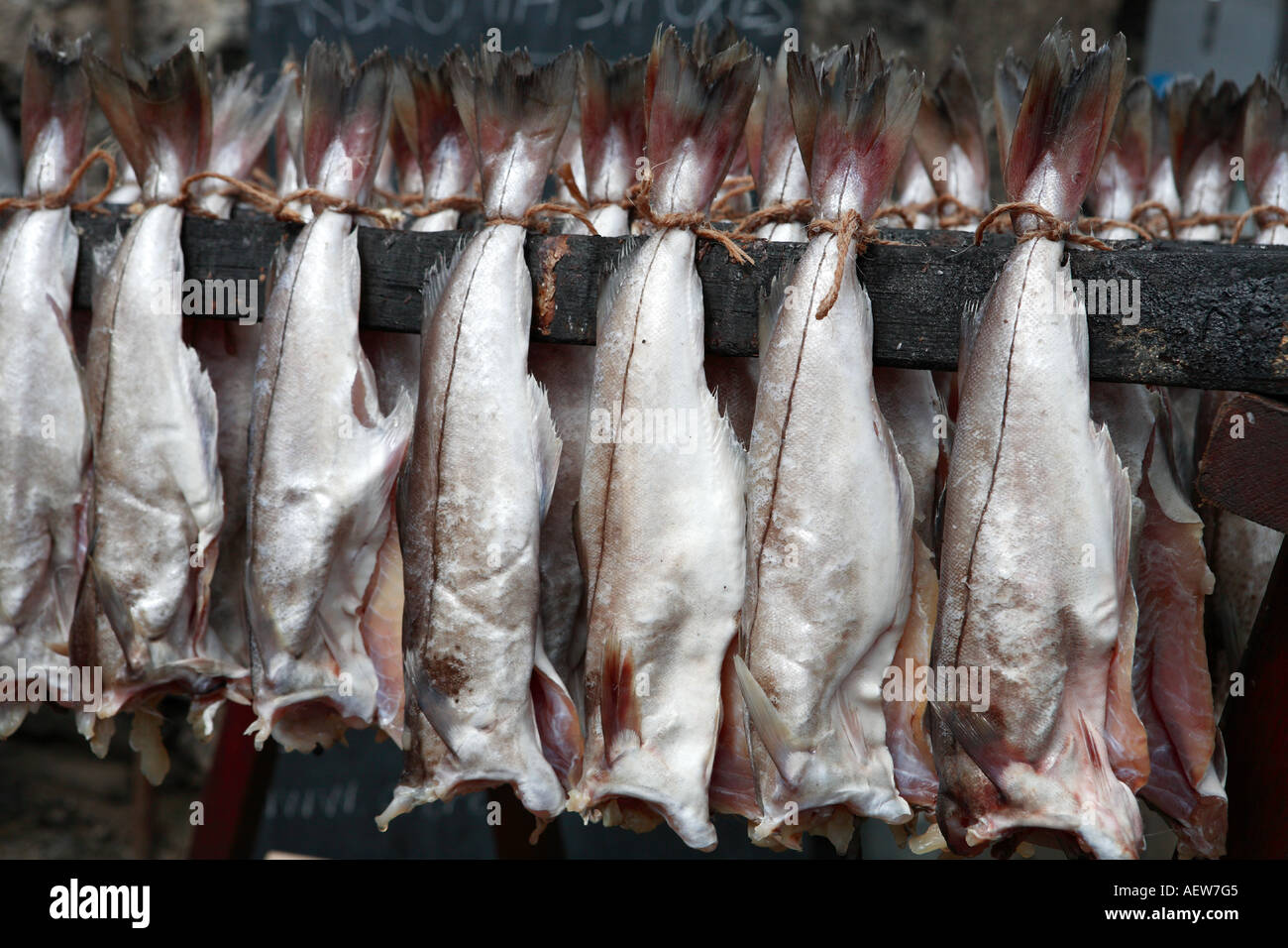 Cooked Haddock fish Smokies, smoked preserved speciality seafood, north ...