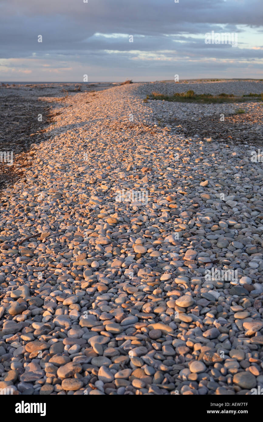 Rainbow Evening sunlight as sunsets at Spey Bay vegetated shingle at ...