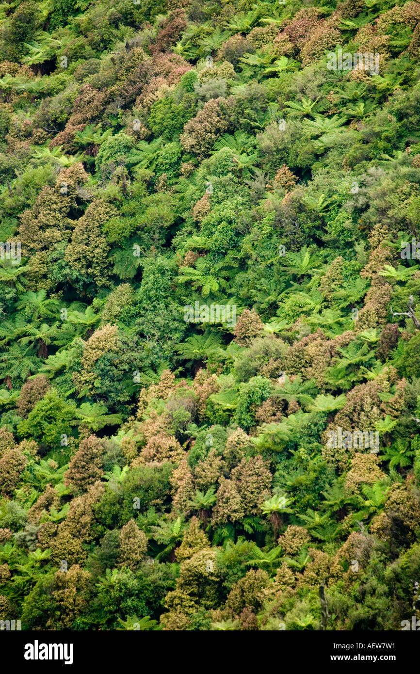 Ruahine range hi-res stock photography and images - Alamy