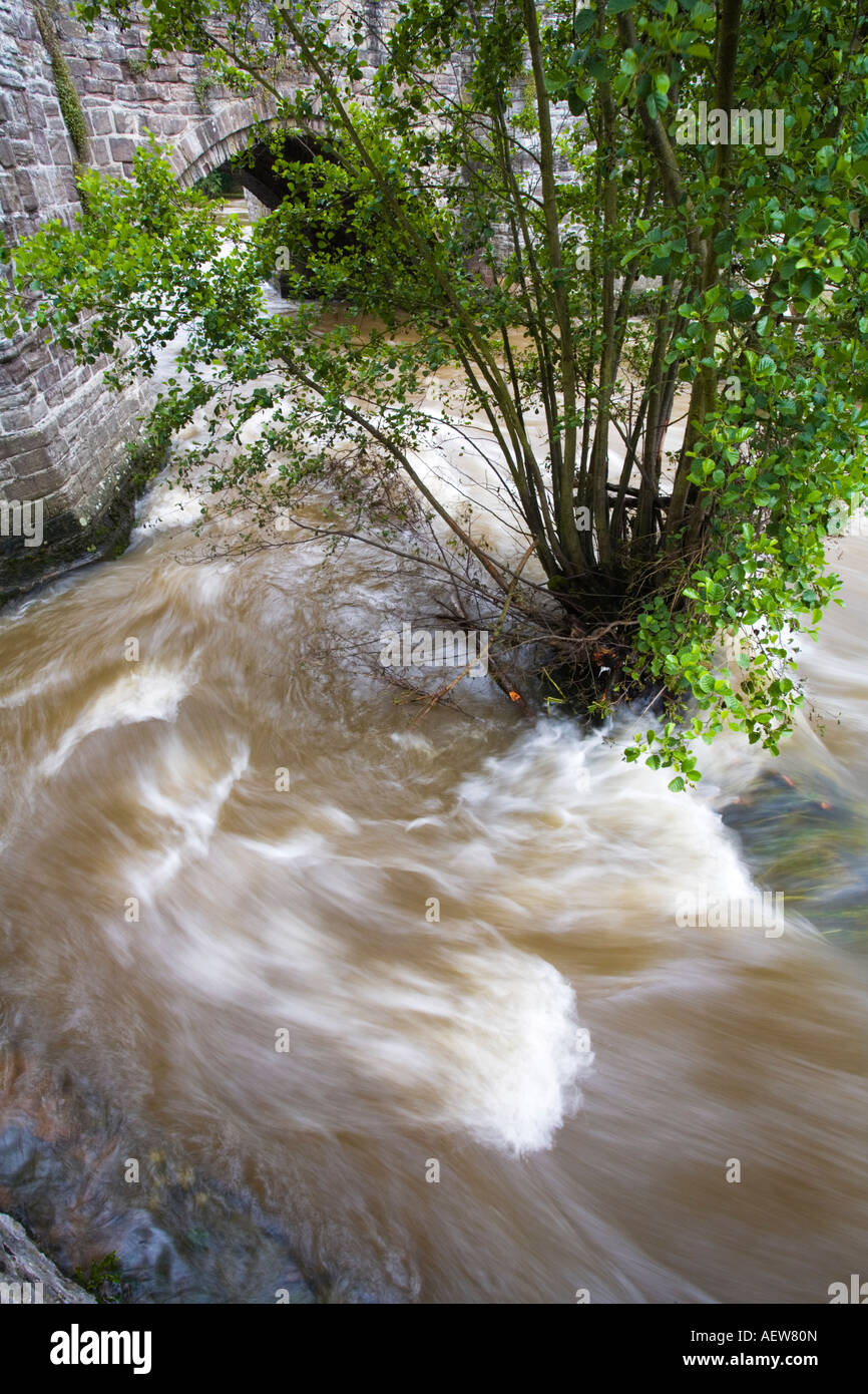 Torrential rain floods hi-res stock photography and images - Alamy