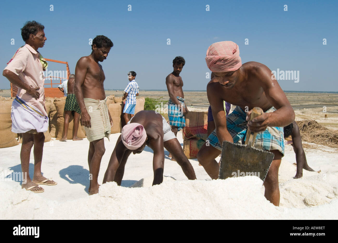The work in the Marakanam Salt Pans Stock Photo - Alamy