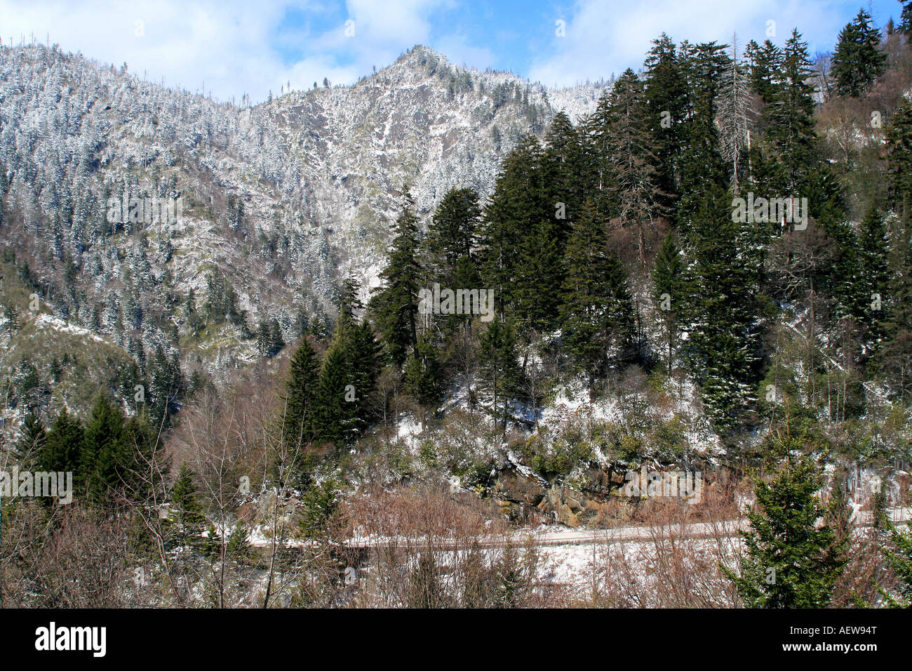 Spring Snow on Newfound Gap Road Great Smoky Mountains National Park ...