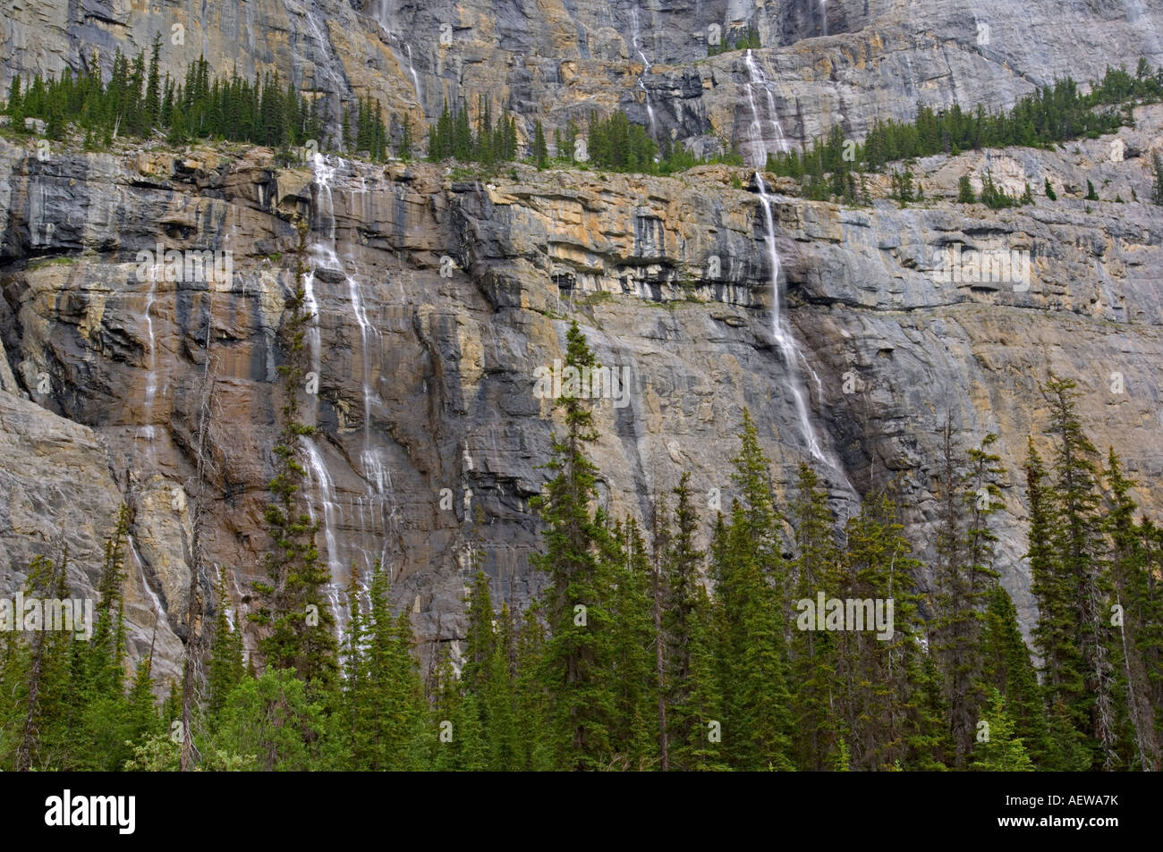 The Weeping Wall Stock Photo - Alamy